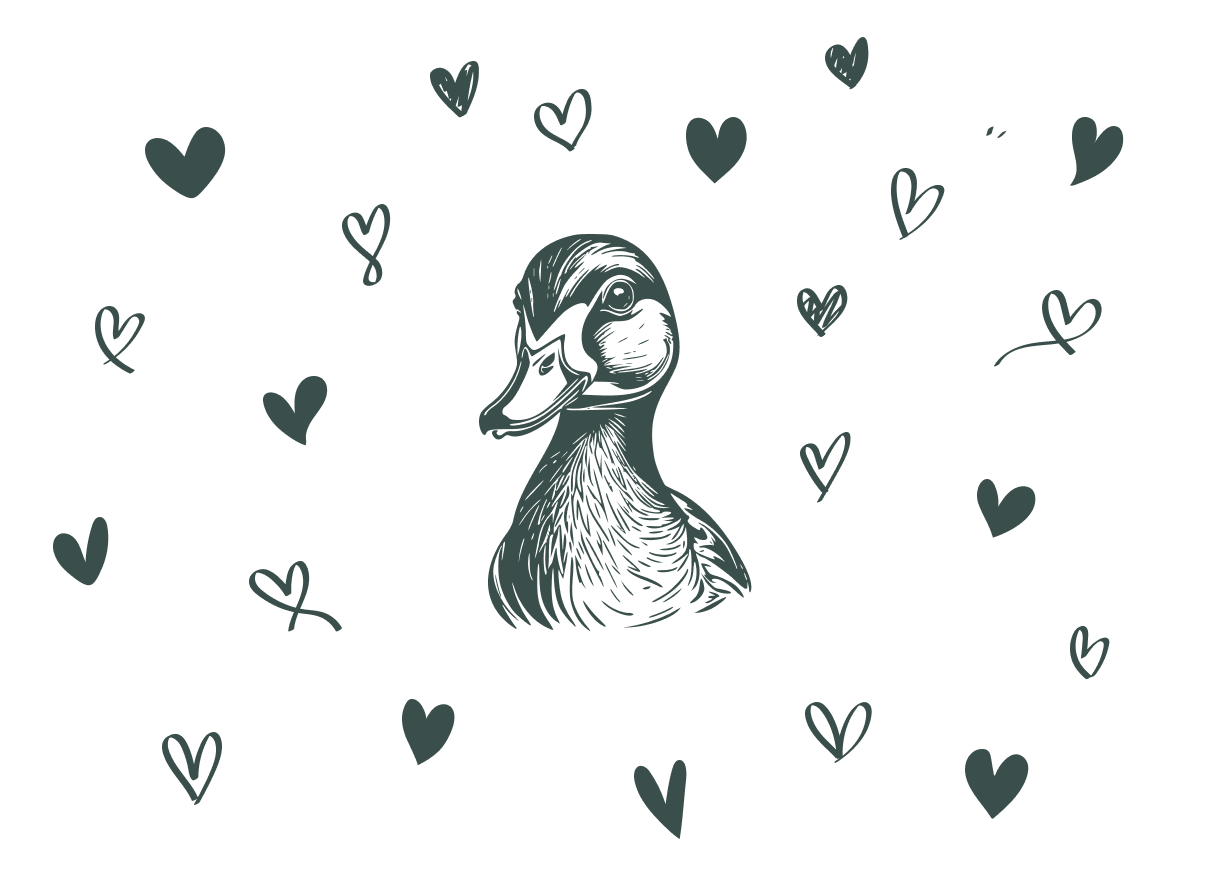 Successfully subscribed to the LearningDuckDB newsletter